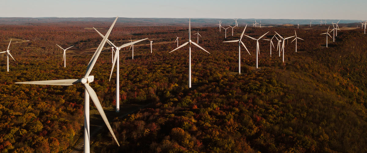 Castleton Commodities International LLC | About CCI | CCI